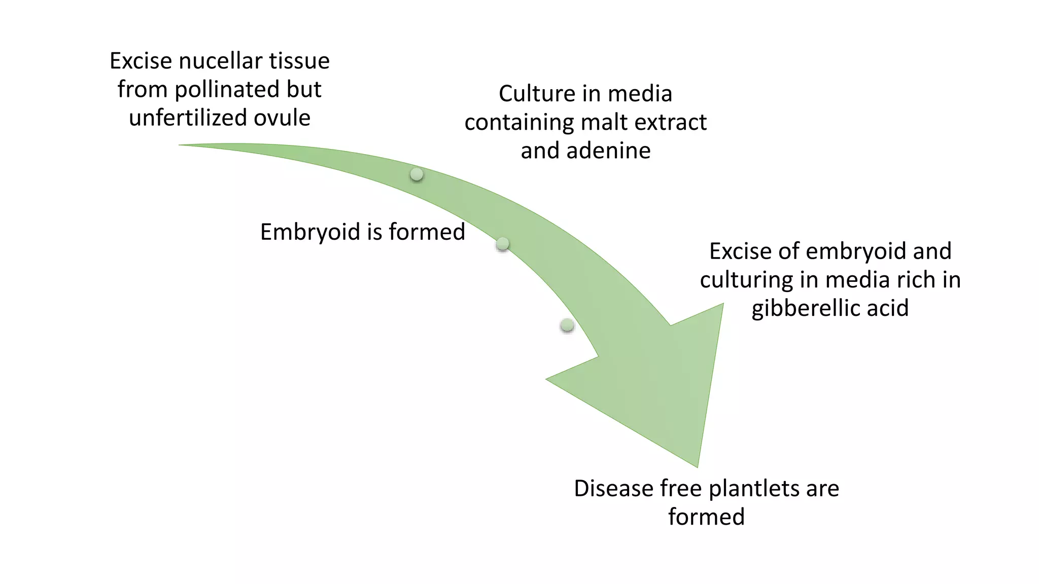 Nucellus culture | PPTX