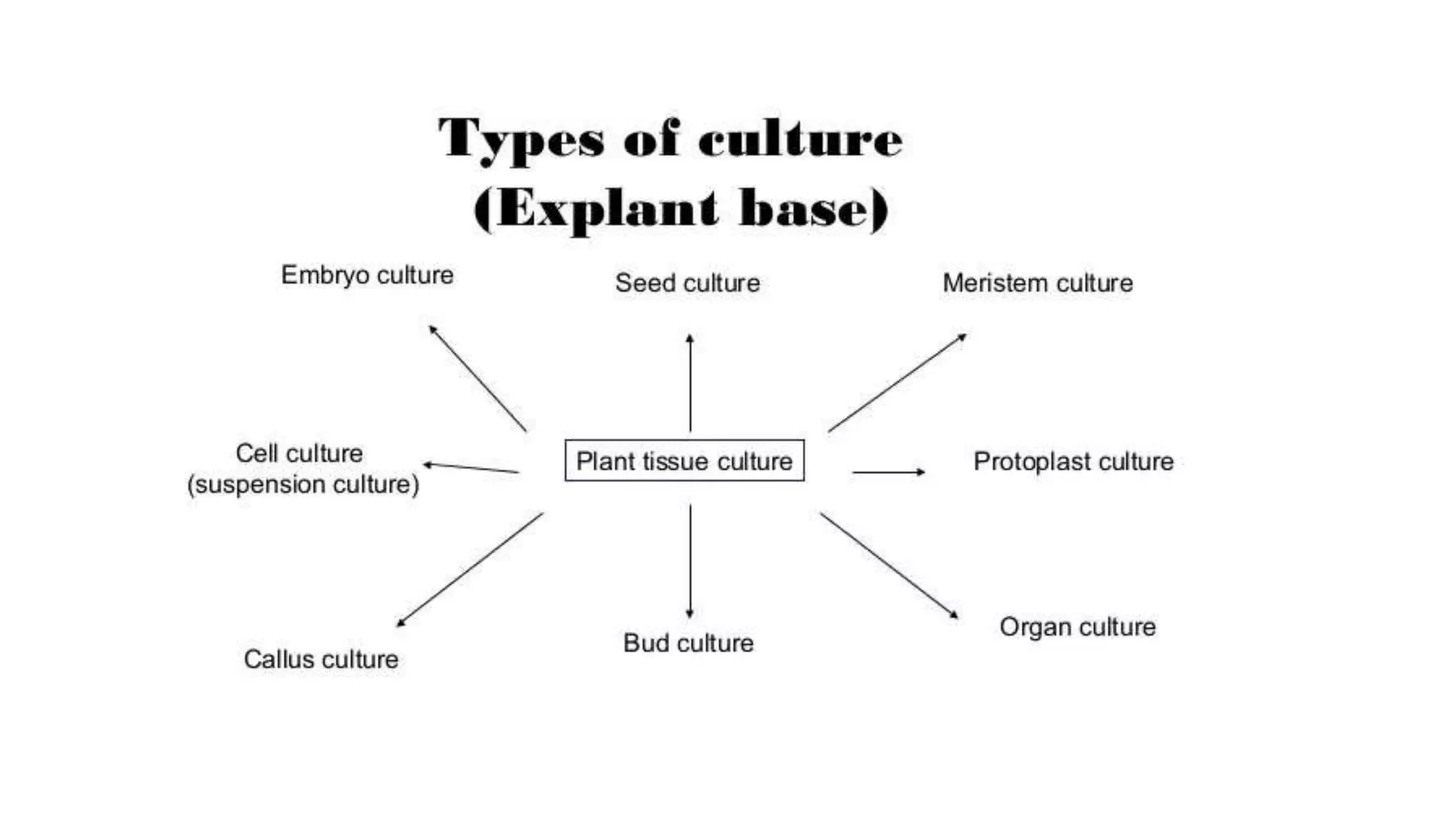 Nucellus culture | PPTX