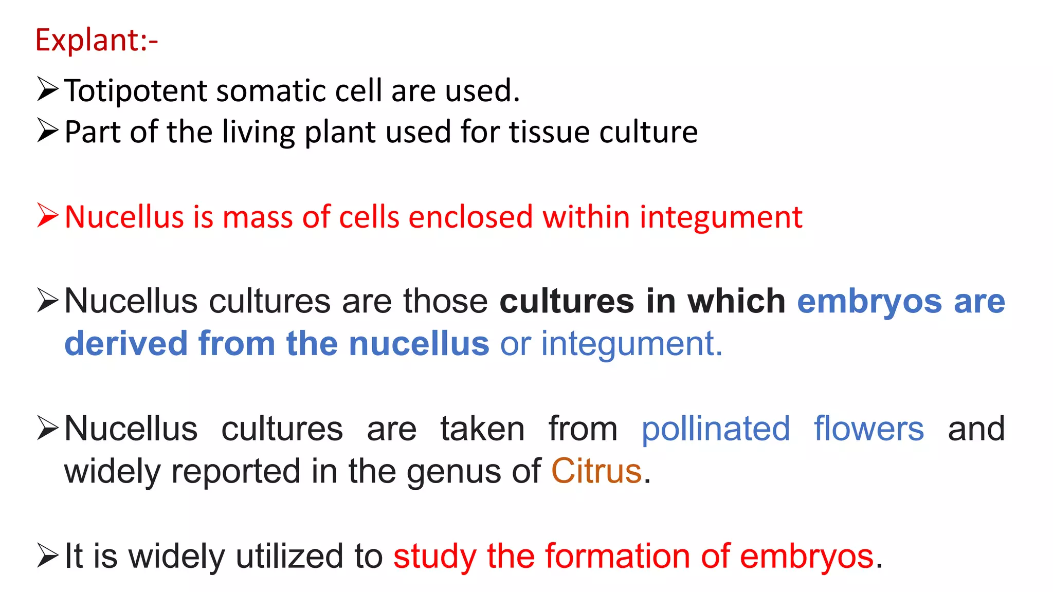 Nucellus culture | PPTX
