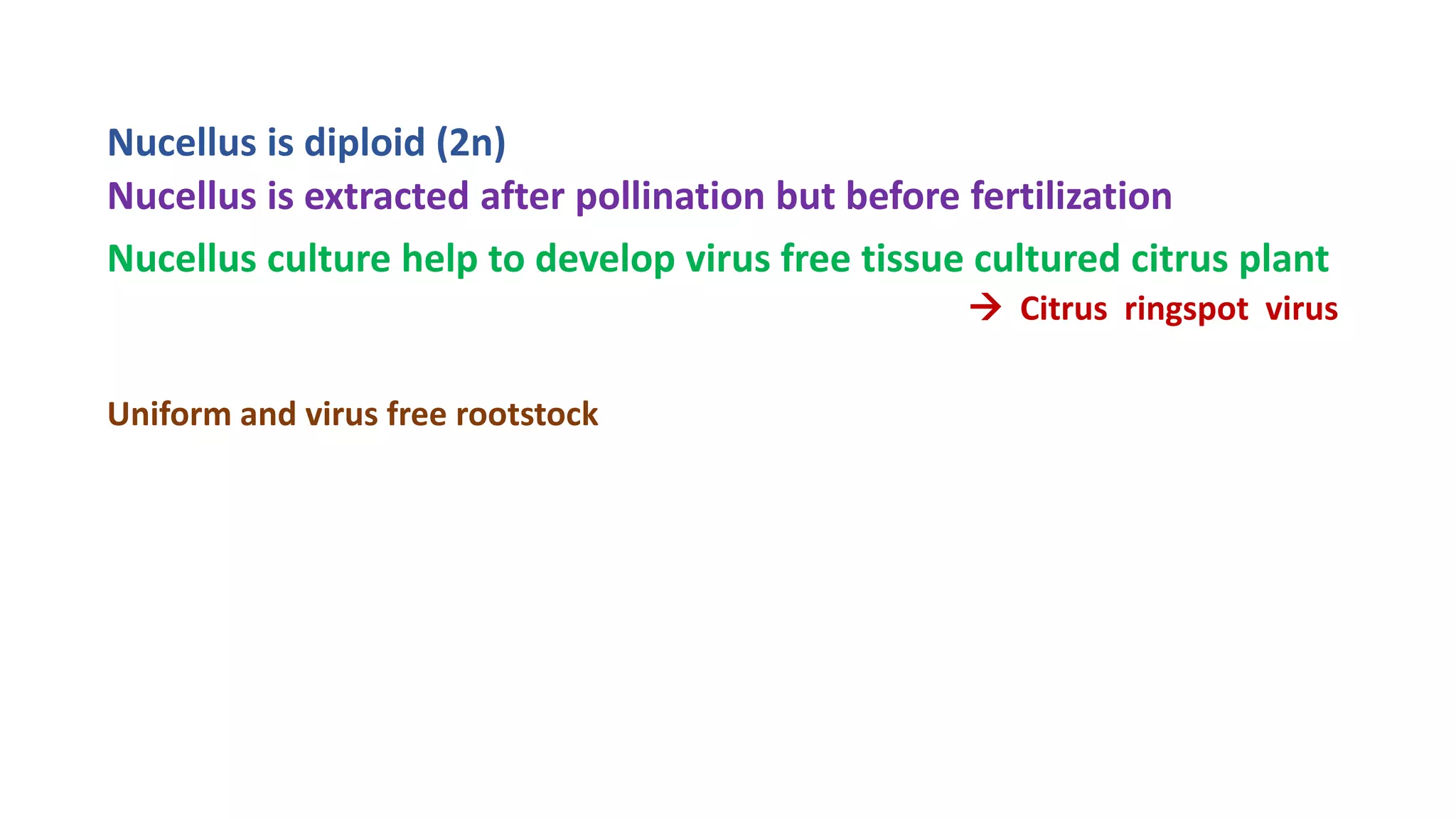 Nucellus culture | PPTX