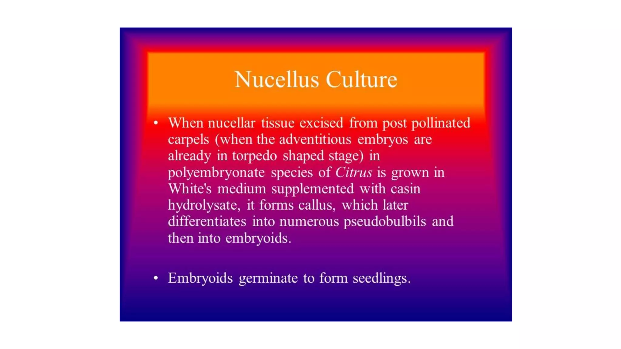 Nucellus culture | PPTX