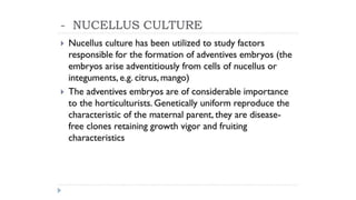 Nucellus culture | PPTX