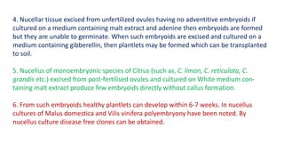 Nucellus culture | PPT