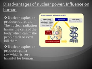 Nuclear | PPTX | Physics | Science