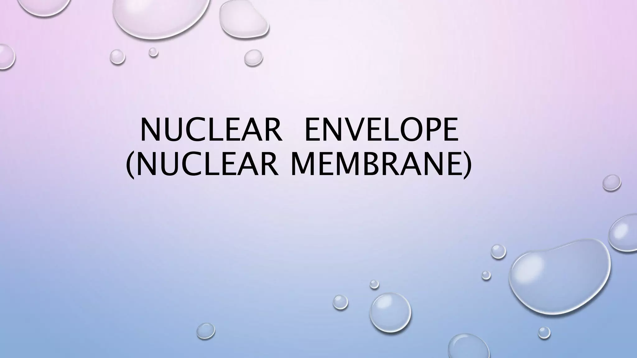 NUCLEAR-ENVELOPE-Nuclear-membrane-01.pptx