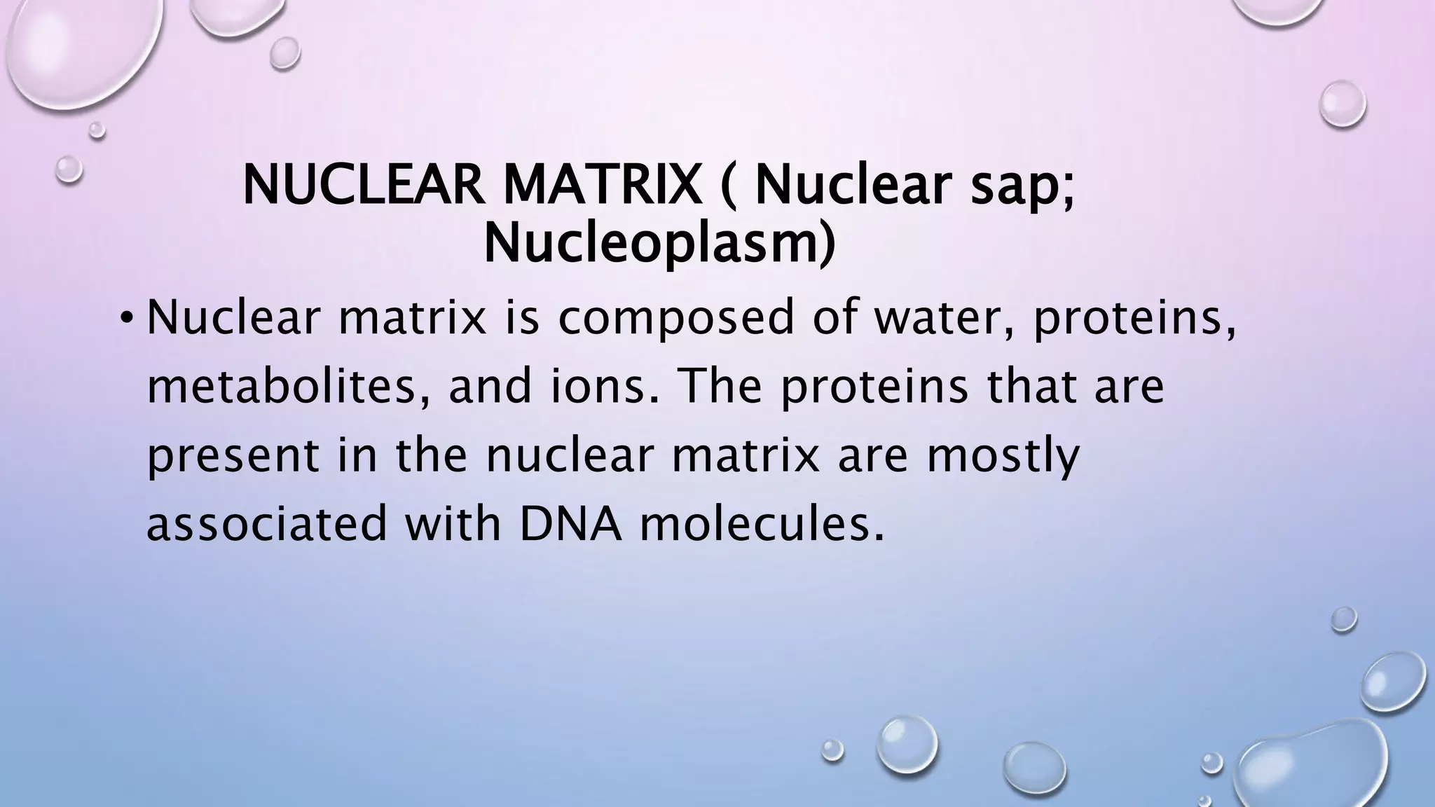 NUCLEAR-ENVELOPE-Nuclear-membrane-01.pptx