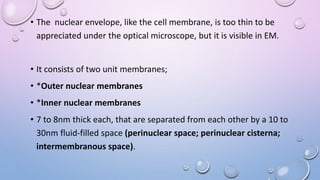 NUCLEAR-ENVELOPE-Nuclear-membrane-01.pptx