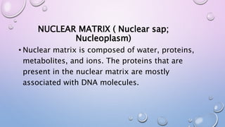NUCLEAR-ENVELOPE-Nuclear-membrane-01.pptx