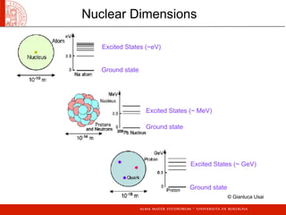 Basics Nuclear Physics concepts | PDF