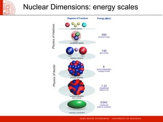 Basics Nuclear Physics concepts | PDF