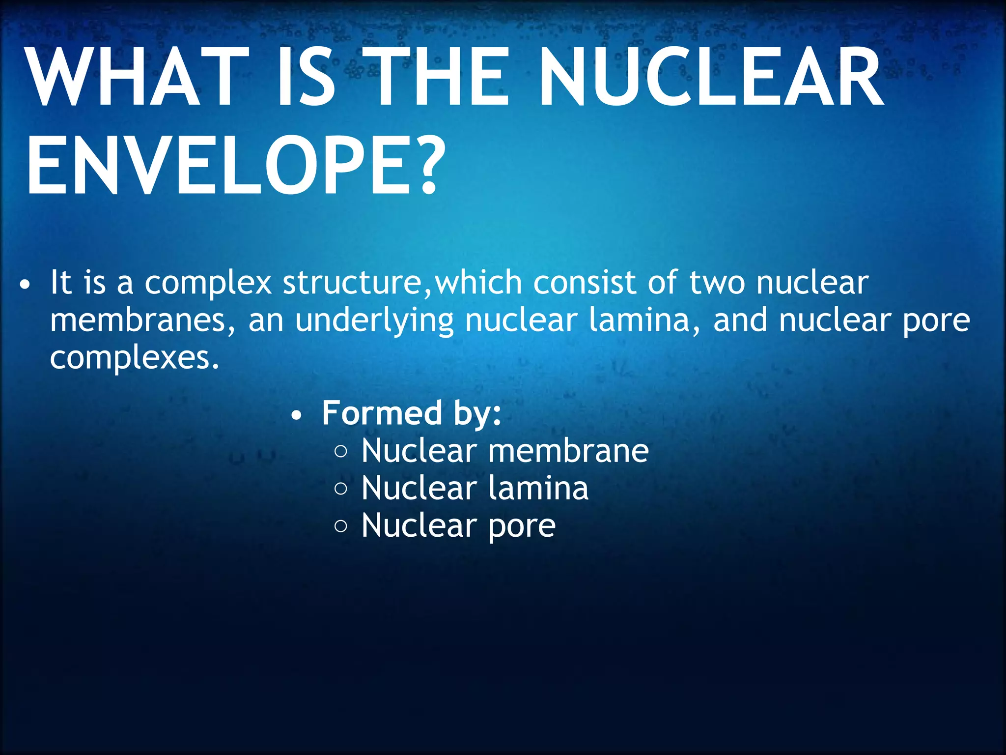 Nuclear envelope | PPT