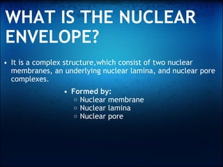 Nuclear envelope | PPT | Lung and Respiratory Health | Diseases and Conditions