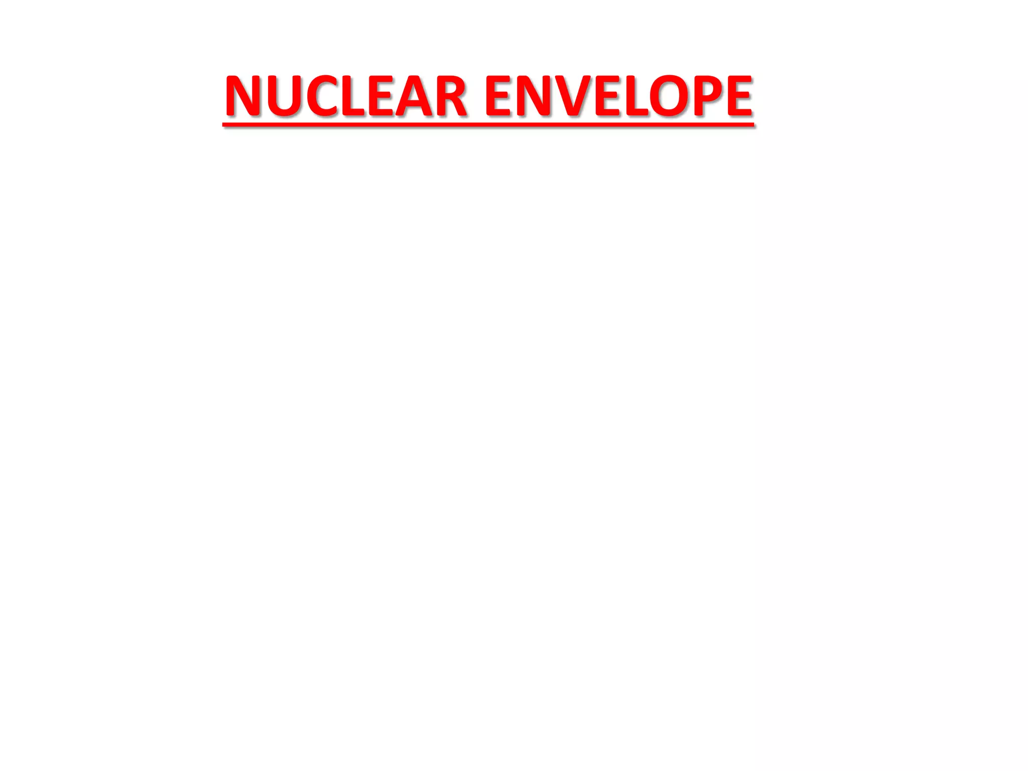 Nuclear envelope | PPTX