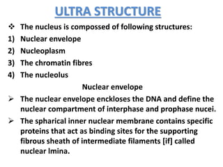 Nuclear envelope | PPTX