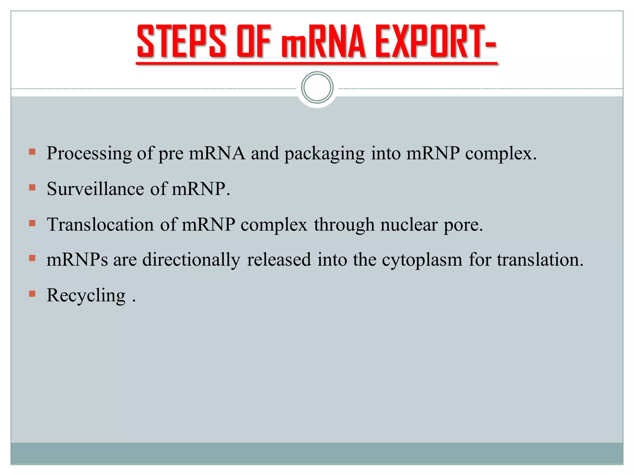 Nuclear export of mRNA | PDF