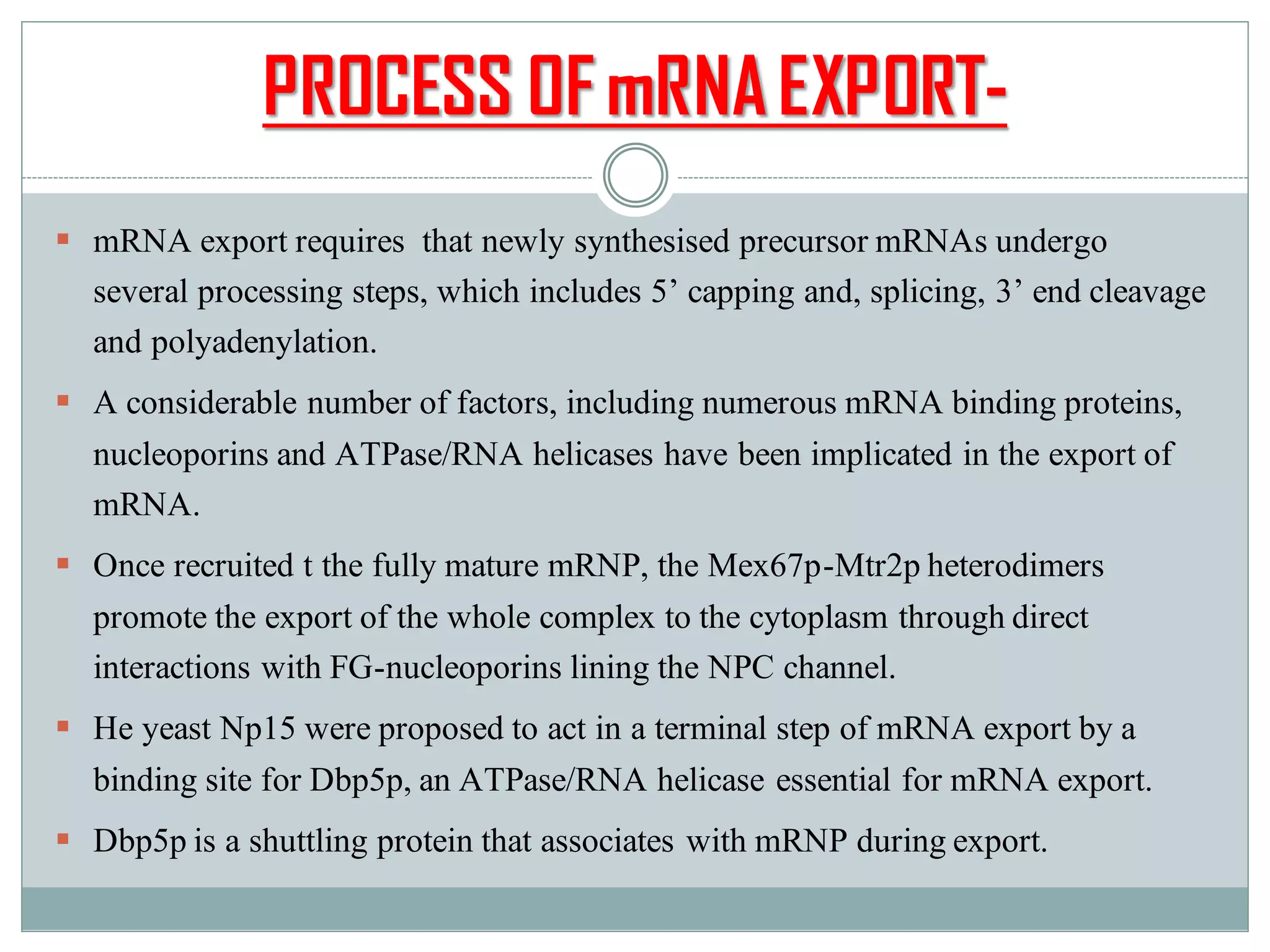 Nuclear export of mRNA | PDF