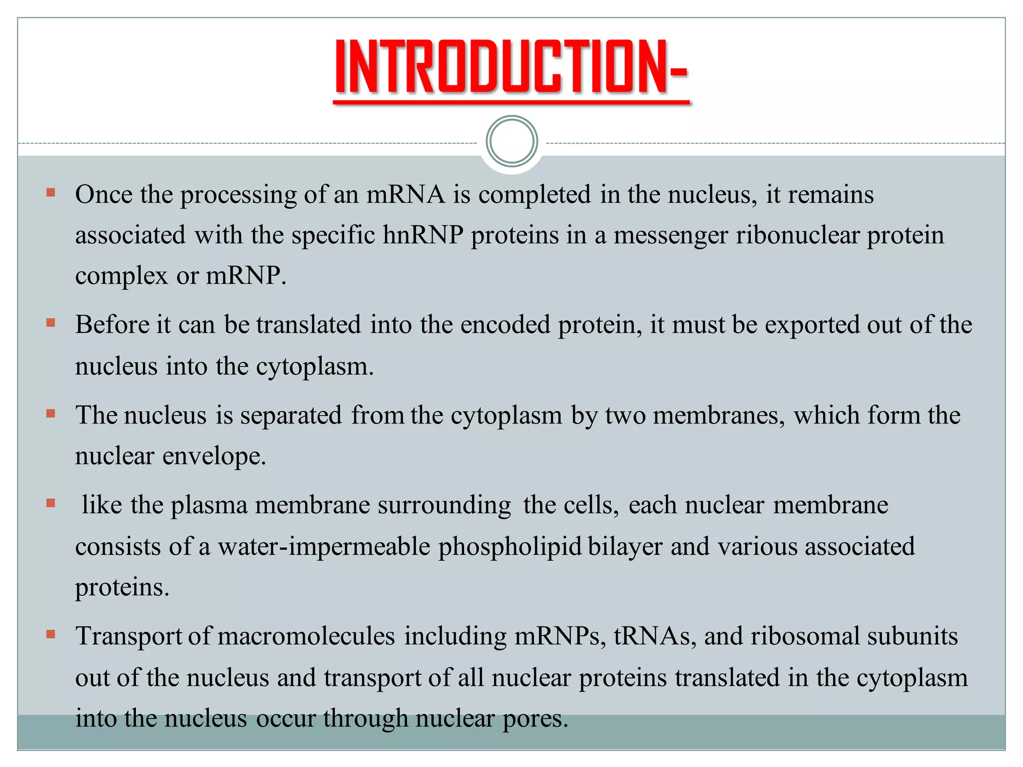 Nuclear export of mRNA | PDF