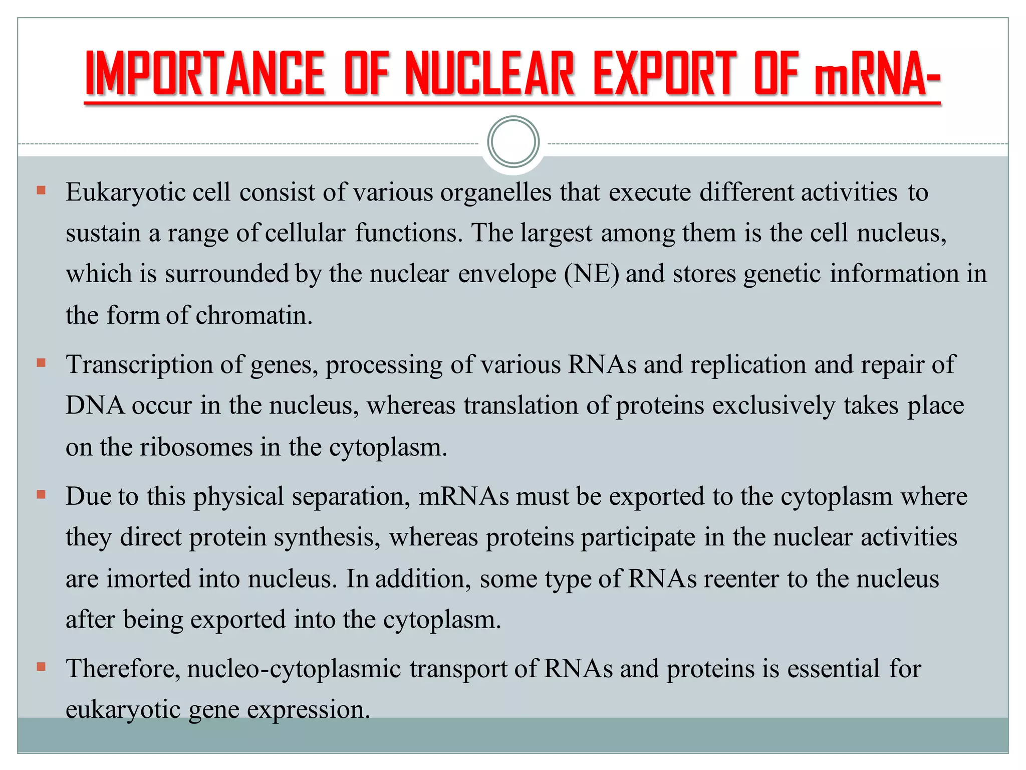 Nuclear export of mRNA | PDF