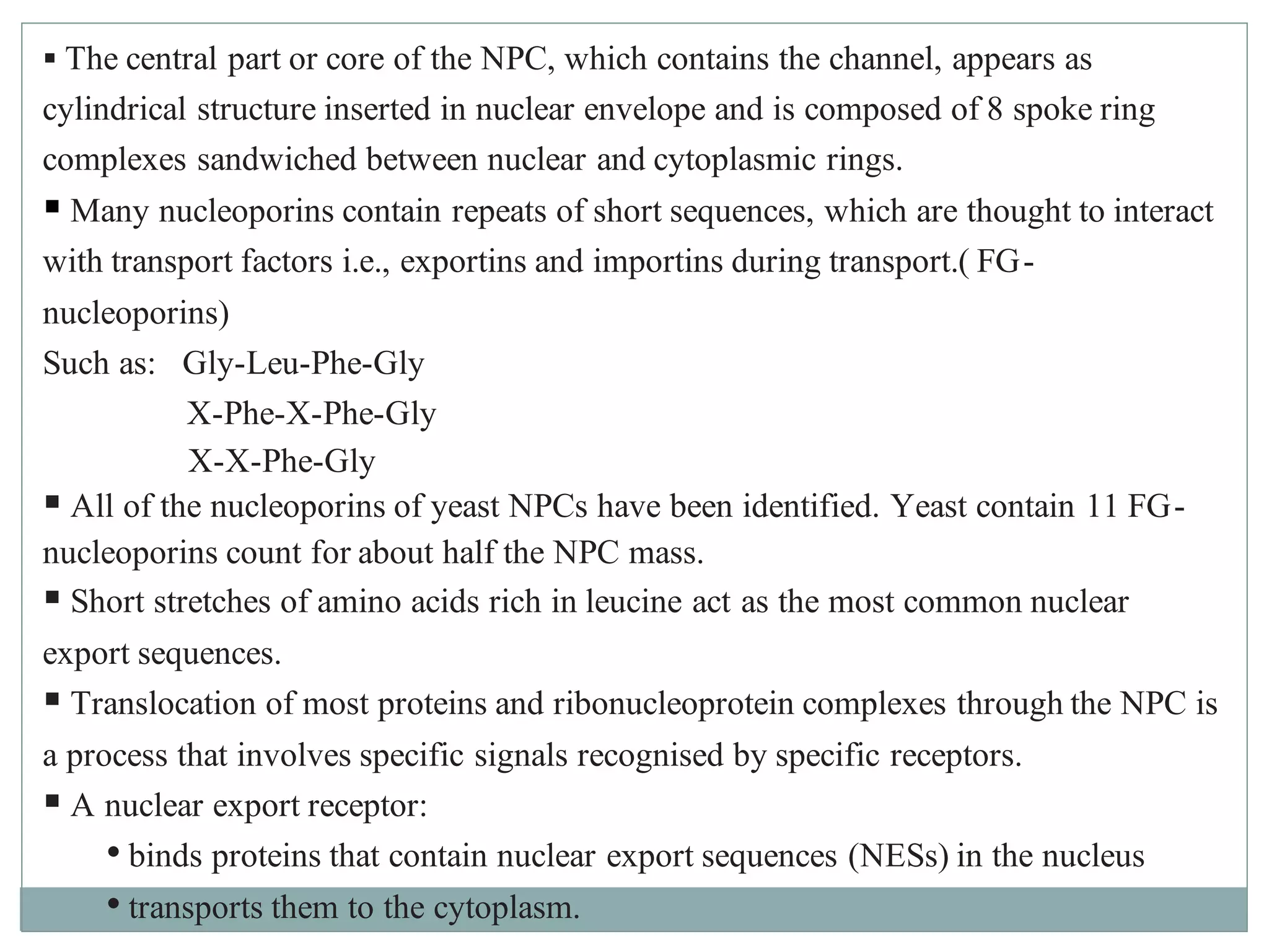 Nuclear export of mRNA | PDF
