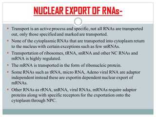 Nuclear export of mRNA | PDF