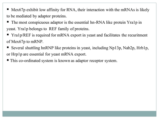 Nuclear export of mRNA | PDF