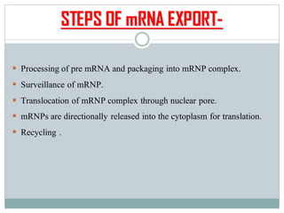 Nuclear export of mRNA | PDF