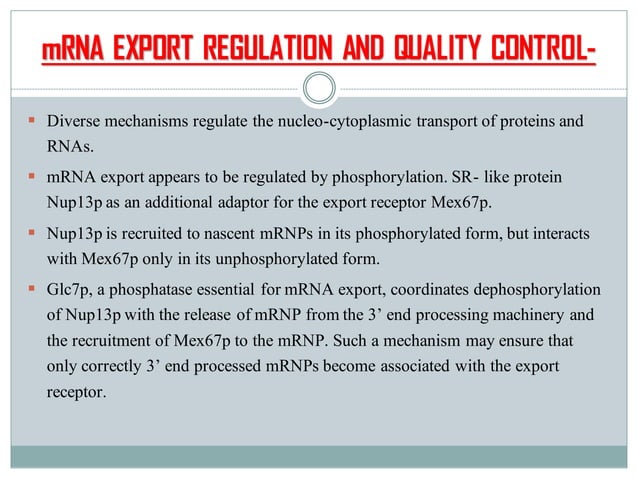 Nuclear export of mRNA | PDF