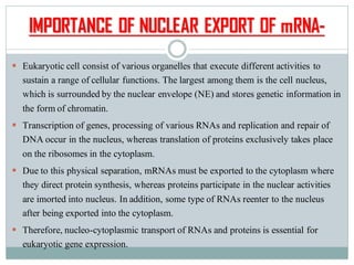 Nuclear export of mRNA | PDF