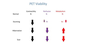 Nuclear imaging | PPTX