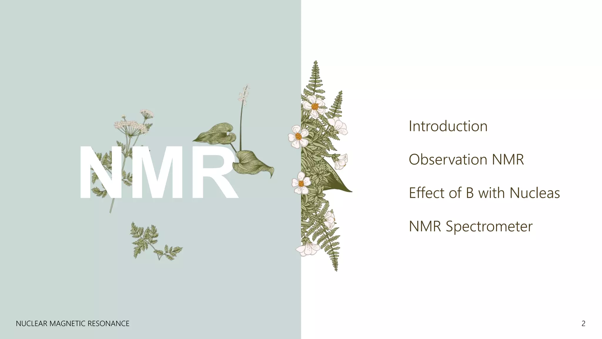 Nuclear Magnetic Resonance.pptx