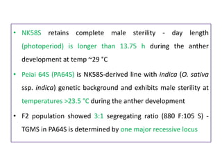 Nuclear male sterility | PPT