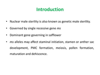 Nuclear male sterility | PPT