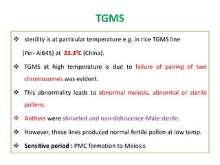 Nuclear male sterility | PPT