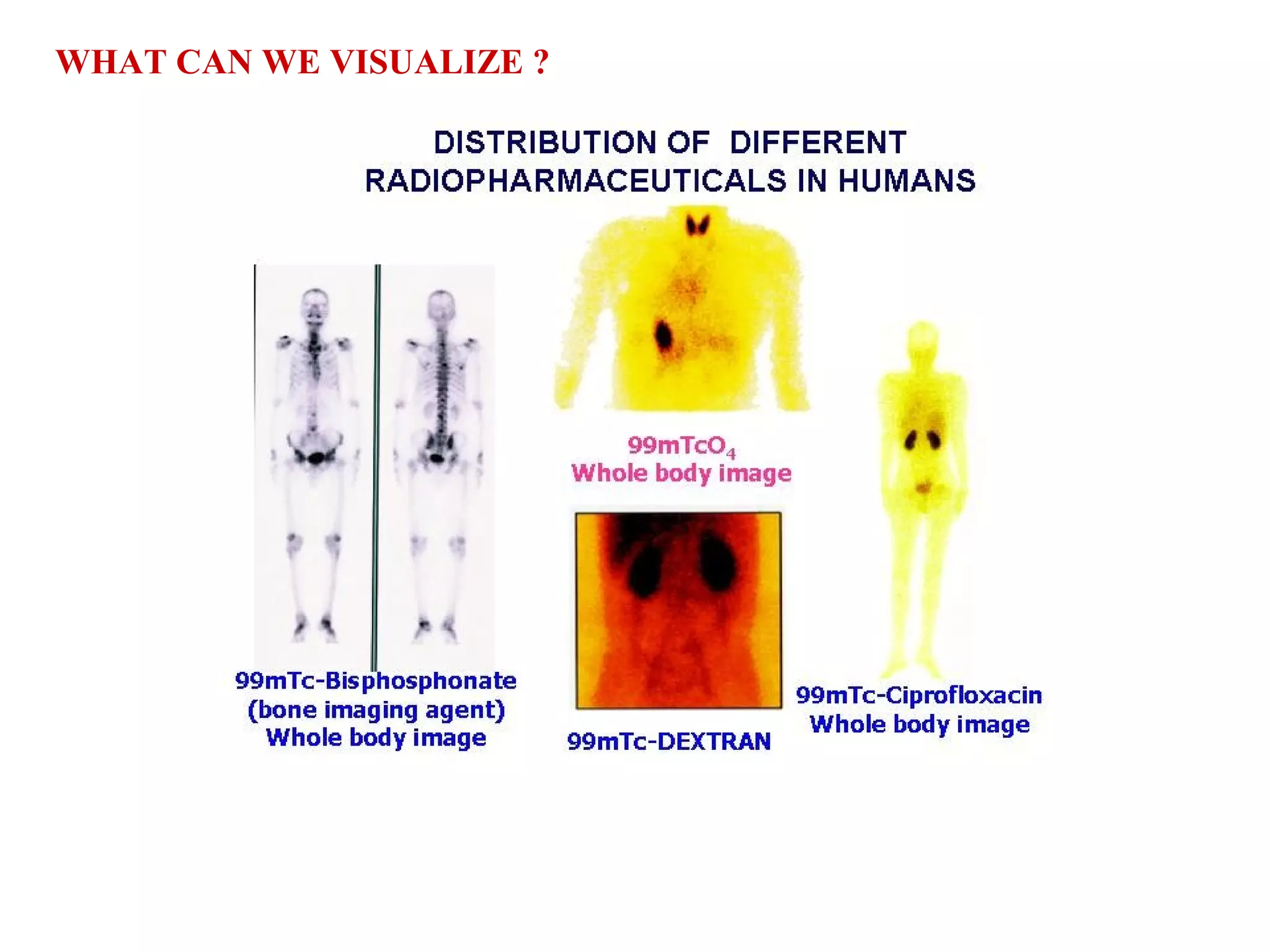 Nuclear imaging and PET physics | PPT