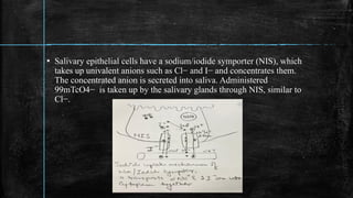 Nuclear Medicine- Principles & Its Application In Oral.pptx