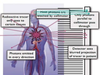 Nuclear medicine scan.ppt