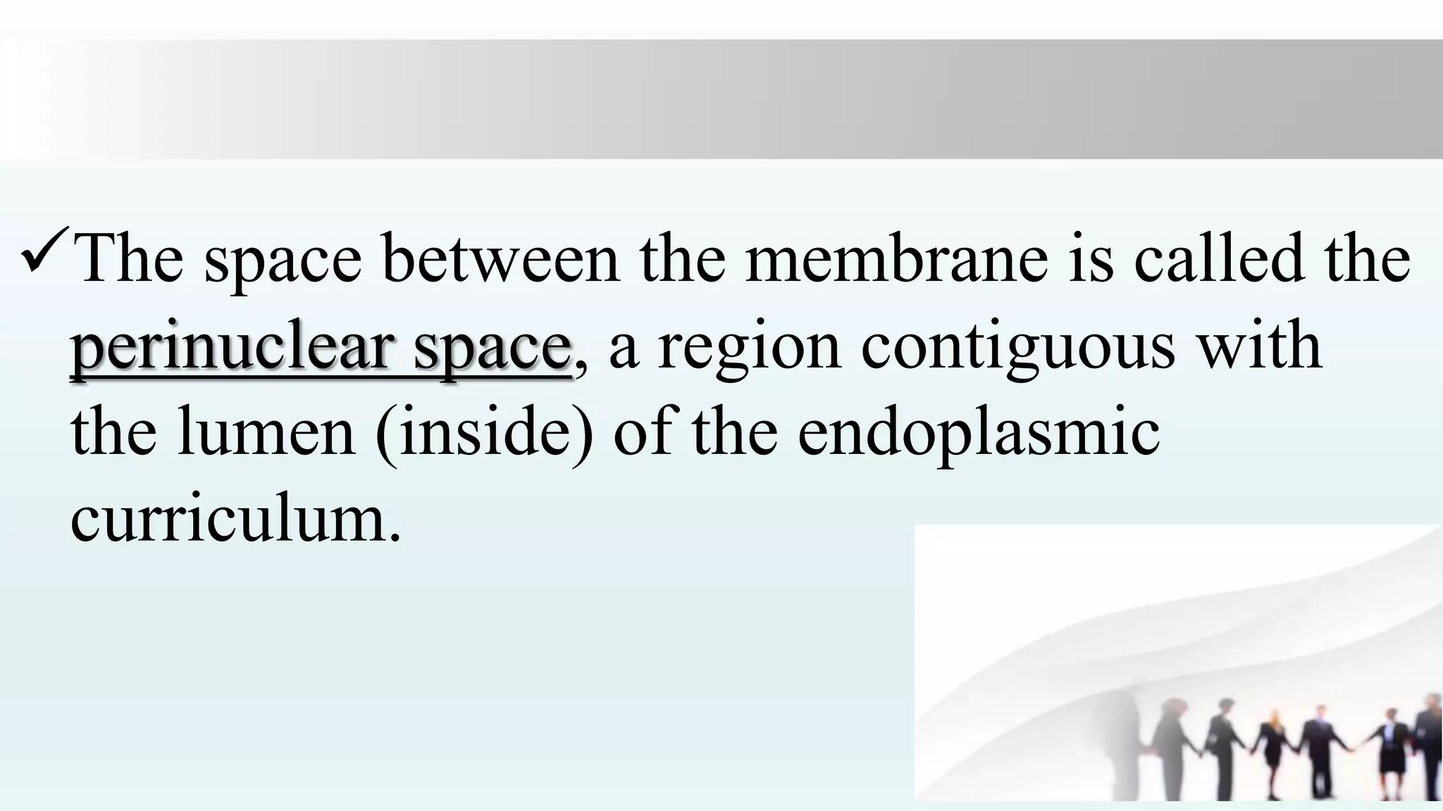 Nuclear membrane (Demonstrations) | PPTX