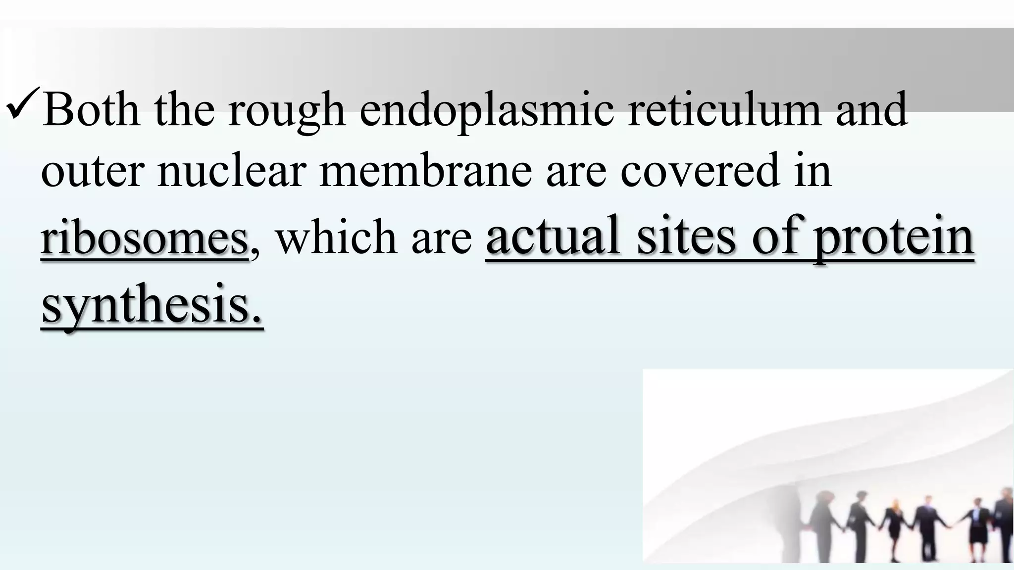 Nuclear membrane (Demonstrations) | PPTX
