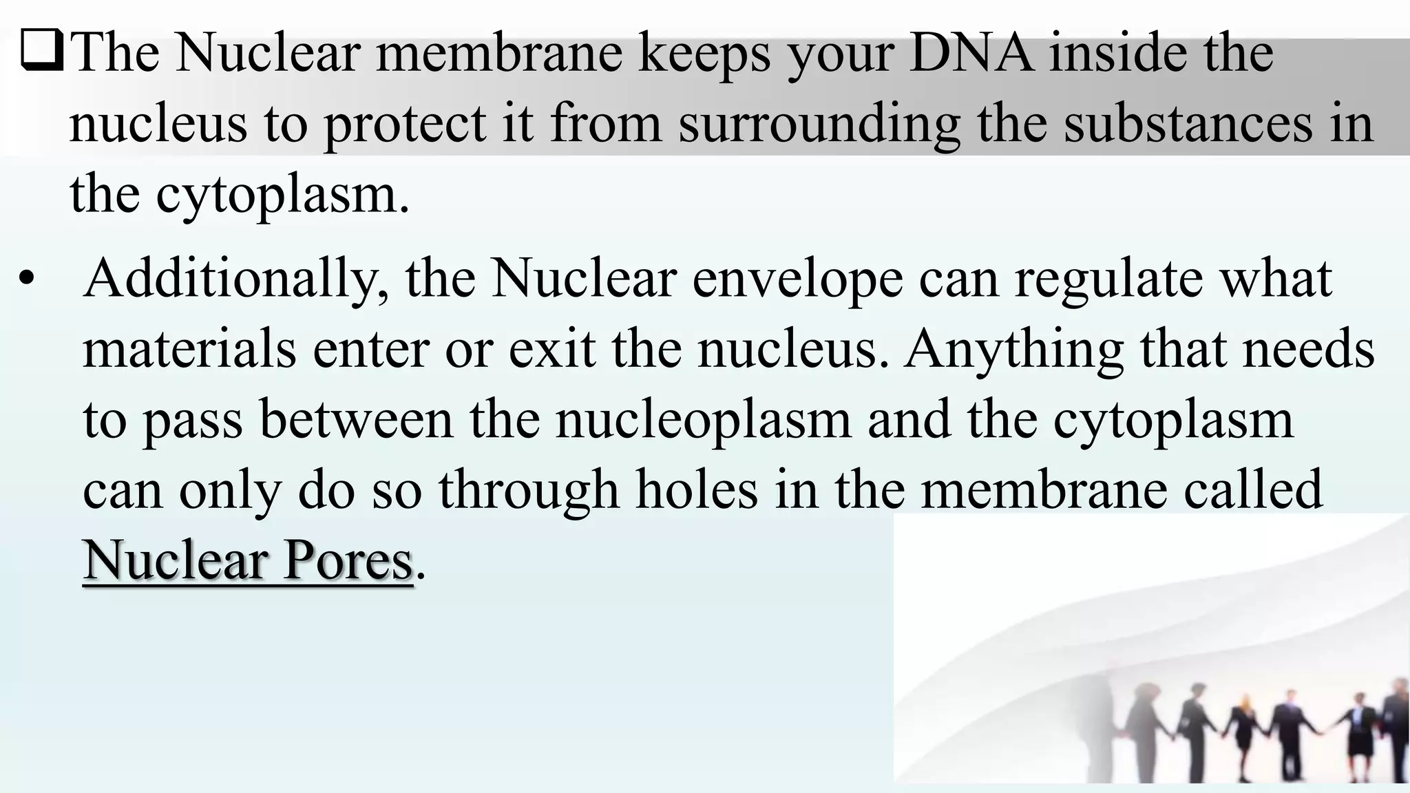 Nuclear membrane (Demonstrations) | PPTX