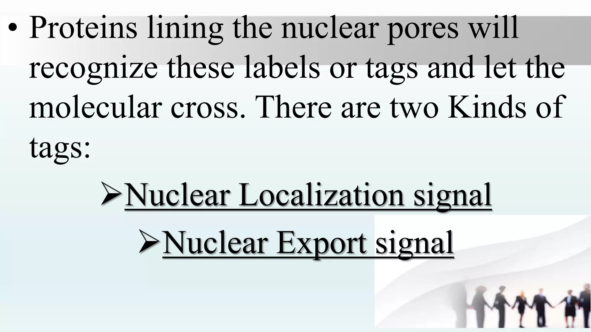Nuclear membrane (Demonstrations) | PPTX