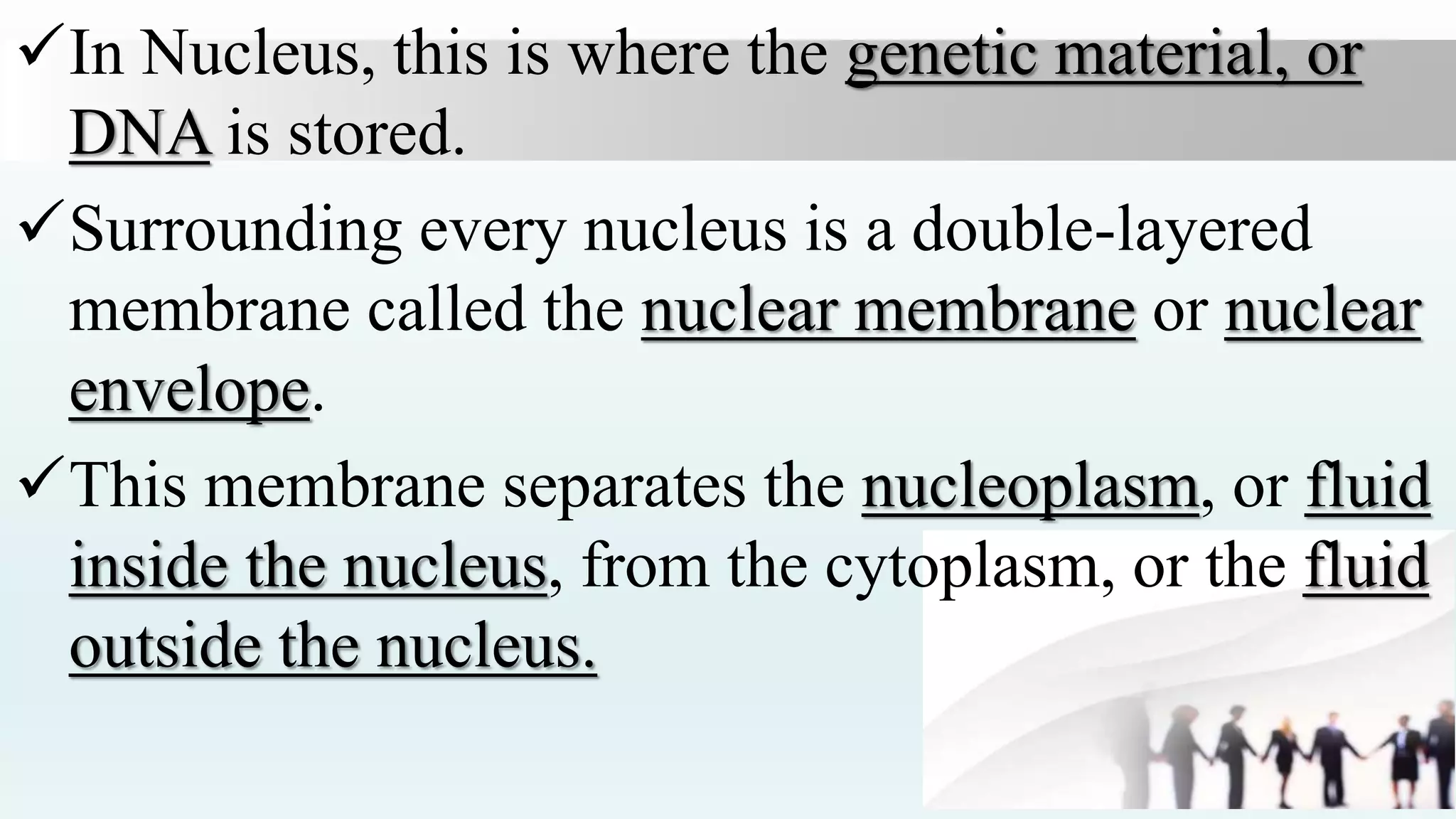 Nuclear membrane (Demonstrations) | PPTX