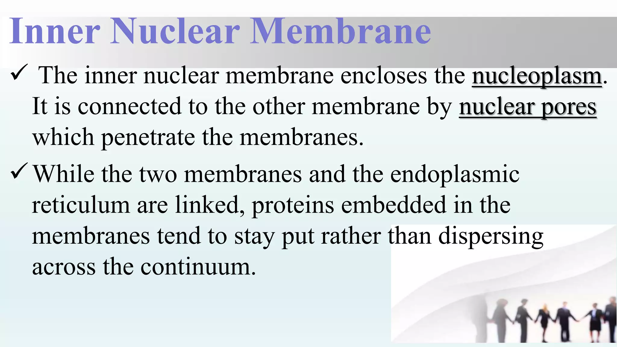 Nuclear membrane (Demonstrations) | PPTX