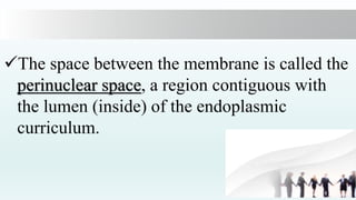 Nuclear membrane (Demonstrations) | PPTX