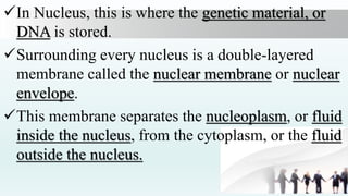 Nuclear membrane (Demonstrations) | PPTX