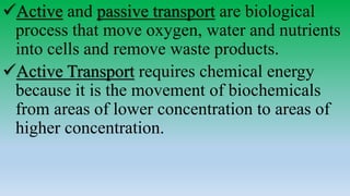 Nuclear Membrane: Active and Passive Transport | PPT