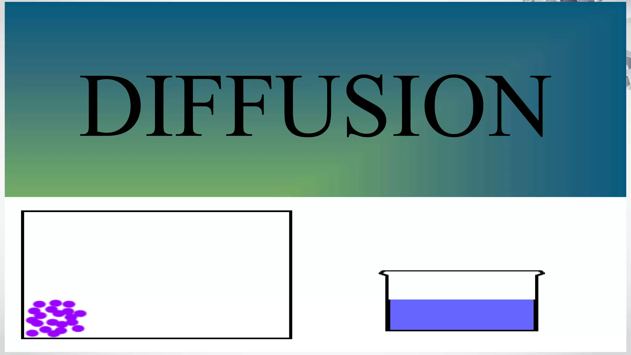 Nuclear Membrane: Active and Passive Transport (Illustrations) | PPT