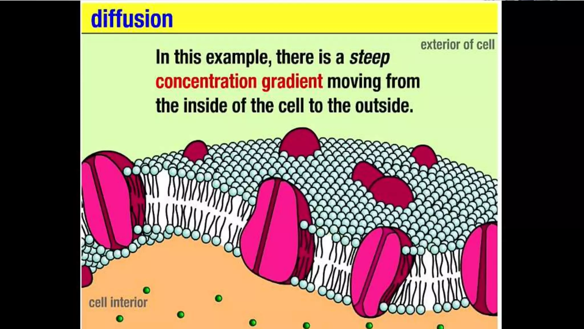 Nuclear Membrane: Active and Passive Transport (Illustrations) | PPT