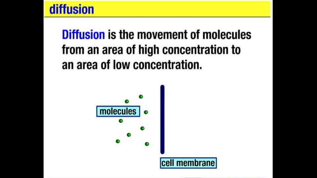 Nuclear Membrane: Active and Passive Transport (Illustrations) | PPT