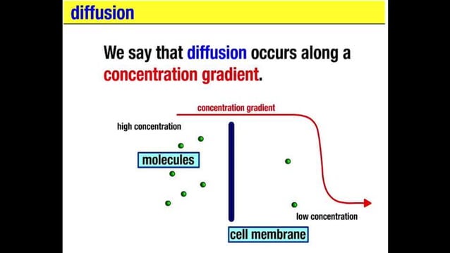 Nuclear Membrane: Active and Passive Transport (Illustrations) | PPT