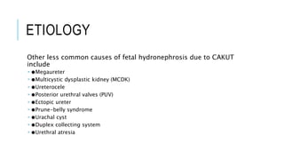Nuclear nephrology | PPTX